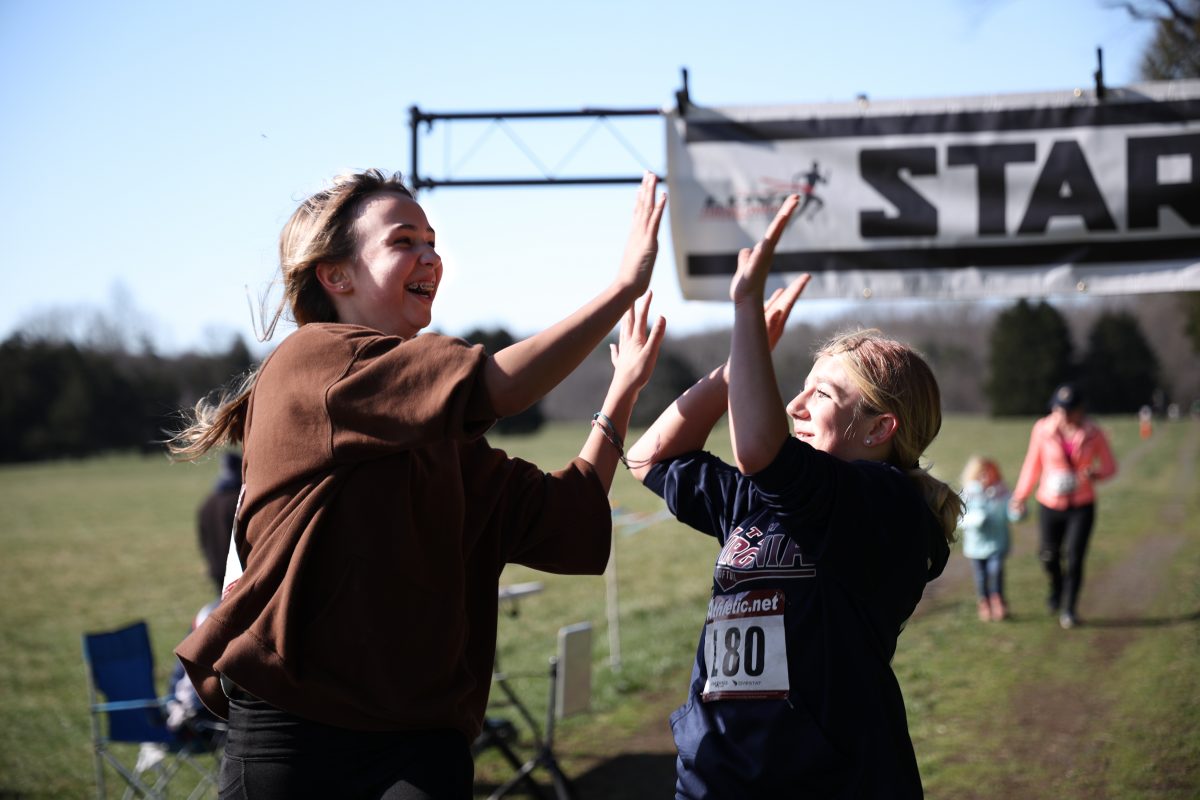 Winfall Farm – BEEF. EGGS. HAY. FLOWERS. EXPERIENCES